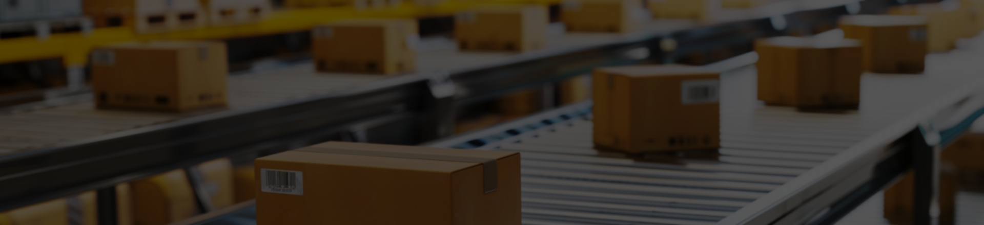 HPRT EP-50A Auto Bagger | All-in-One E-commerce Packaging Machine